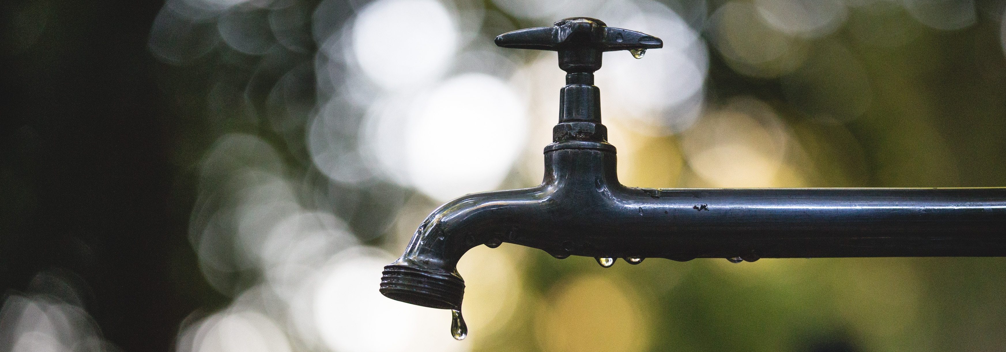 The best water-saving gadgets and additions for your home - On Check by ...