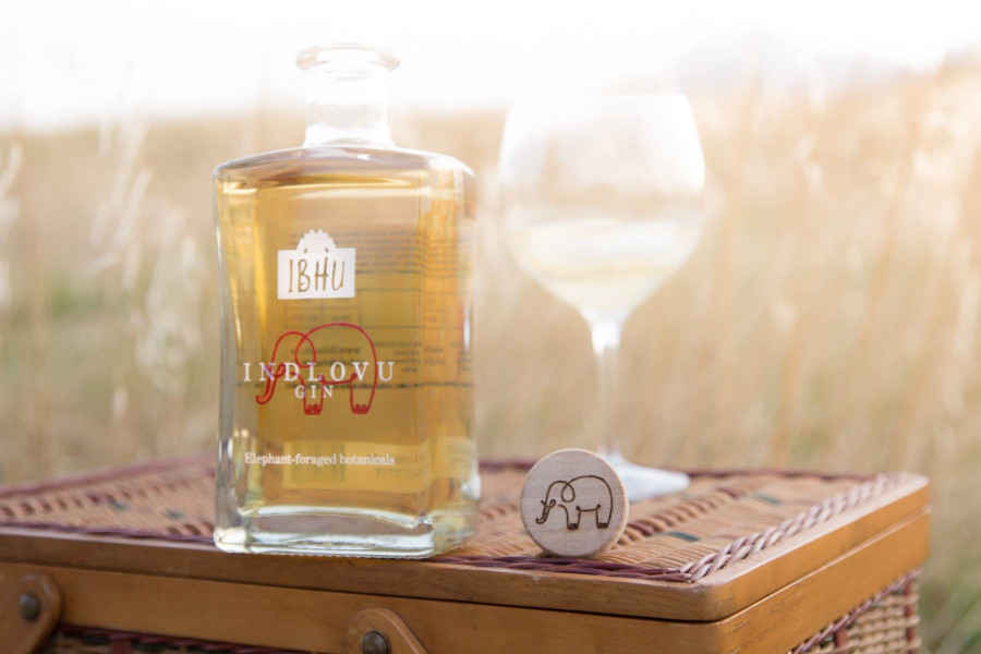 Indlovu Gin: The World’s First Gin Made from Elephant Dung Comes to ...
