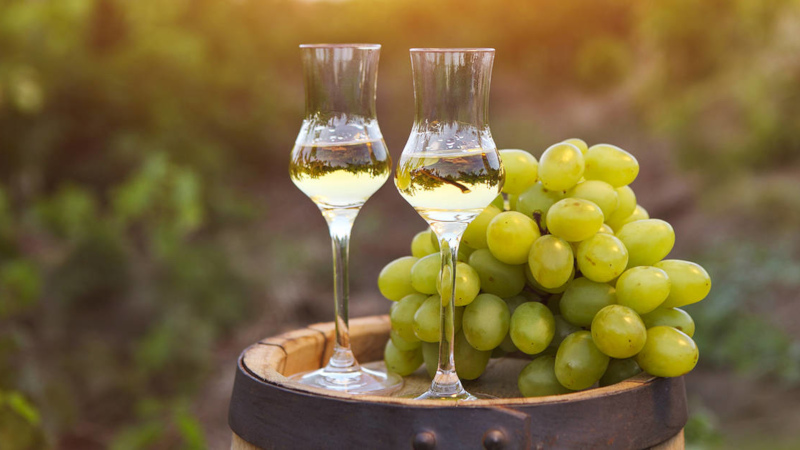 5 Things You Didn’t Know About Grappa - On Check by PriceCheck