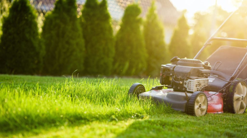 5 Tips for a Picture-Perfect Lawn (Just in Time for Summer) - On Check ...
