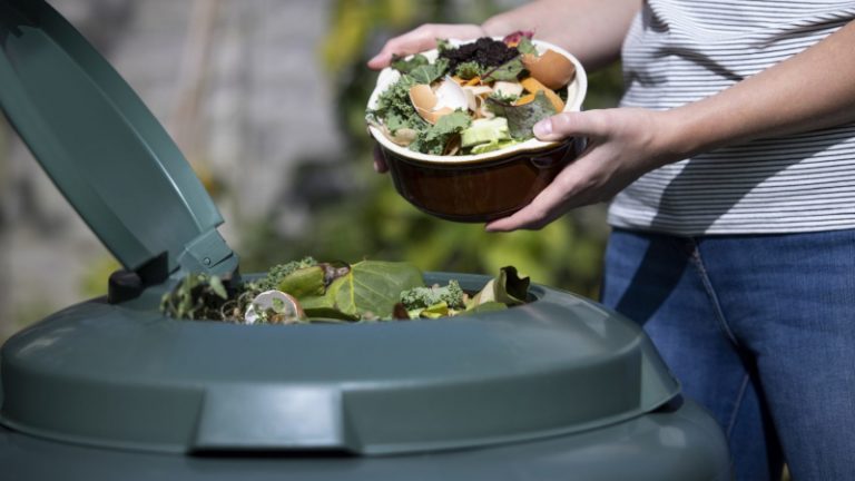 Green Living at Home: Composting 101 - On Check by PriceCheck